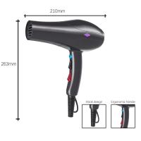 China AC 5615 2500W Concentrator Nozzle Hair Dryer for sale