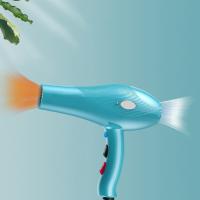 China AC 5615 2500W High Power Blow Dryer One Step Hair Dryer And Volumizer for sale