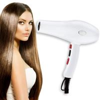 China AC 5615 2500W High Power Blow Dryer One Step Hair Dryer And Volumizer for sale