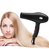 China ISO 90001 Low Noise 210V 2500 Watt Blow Dryer Quick Drying Hotel Hair Dryer for sale
