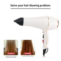 China RoHs High Speed 2.5M Cord DC Hair Dryer Travel Size With Cool Shot Function for sale