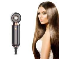 China Portable High Power Electric Hair Blow Dryer 800w hair dryer 2pcs Diffuser for sale