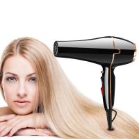 China Mesky Professional 1940W 125V DC Hair Dryer ionic Function for Hotel for sale