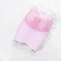 China Private Label 500mAh IPX7 Electric Facial Cleansing Brush Remove Dead Skin for sale