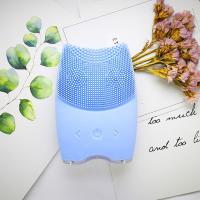 China Private Label 500mAh IPX7 Electric Facial Cleansing Brush Remove Dead Skin for sale