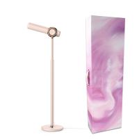 China Vertical Hair Dryer Liberating Hands Negative Ion Hair Care Quick Drying for sale