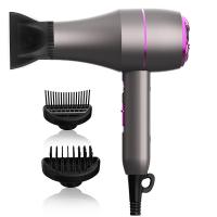 China DC Hair Dryer Professional Beauty Products Negative Ionic Hair Blow Dryer for sale