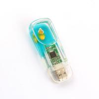 China Plastic USB Stick Inside Put Liquid Usb Flash Drive Customized Boat Inside for sale