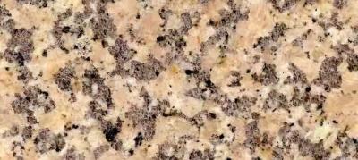 China Granite Stone Panel Material 60x60cm 2cm Thickness Smooth Surface Stepping Stone for sale