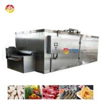 China 13800*3200*2500mm Tunnel Freezer for Continuous Freezing of IQF Mixed Vegetables for sale