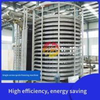 China 13800*3200*2500mm Tunnel Freezer for Continuous Freezing of IQF Mixed Vegetables for sale
