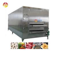China 500kg Capacity Tunnel Freezing Machine for Quick Freezing Fish Shrimp Fruit and Vegetables for sale