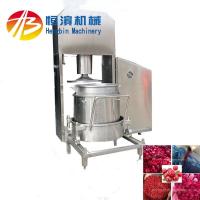 China Powerful 3kw Hydraulic Juicer Press for Strawberry Lemon Apple Banana Pear Production for sale