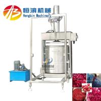 China High Productivity Easy Operate Hydraulic Juicer for Orange Lemon Apple Banana Pear for sale
