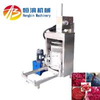 China High Productivity Easy Operate Hydraulic Juicer for Orange Lemon Apple Banana Pear for sale