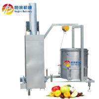 China Mango Pineapple Tomato Blueberry Juicer with 15%-20% Higher Yield and Extraction Rate for sale