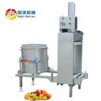 China Industrial Hydraulic Juicer for Grape Watermelon Mango Pineapple Tomato Strawberry for sale