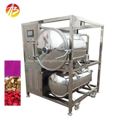 China High Capacity Industrial Lyophilizer Freeze Dryer for Food Fruit Vegetable Meat Lyophilization Machine for sale