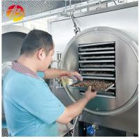 China High Capacity Industrial Lyophilizer Freeze Dryer for Food Fruit Vegetable Meat Lyophilization Machine for sale
