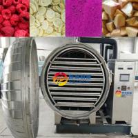 China Vacuum Freeze Drying Equipment for Fruit and Vegetable Meat Pre-frozen at -18C -60 C for sale