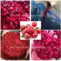 China Easy Operate 300L Commercial Pure Juicer Hydraulic Cold Press for High Productivity for sale
