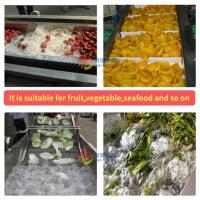 China 1000kg/h Capacity Vegetable and Fruit Air Bubble Washing Machine for Industrial Market for sale