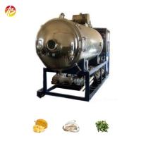 China Silicone Oil Heating Industrial Freeze Drying Machine for Seafood Meat Fish Vegetable for sale