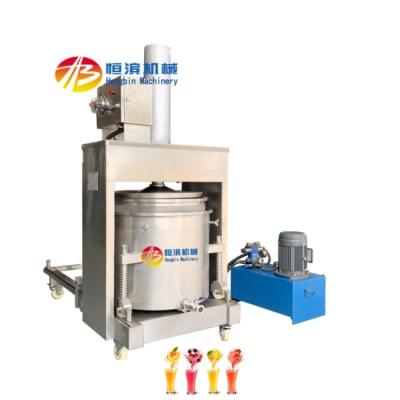 China 304 Stainless Steel Industry Apple Juice Extractor Hydraulic Presser Juicer for Farms for sale