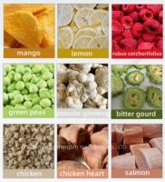 China Instant Coffee Freeze Drying Machine for Freeze Dried Set Machine and Frozen Food for sale