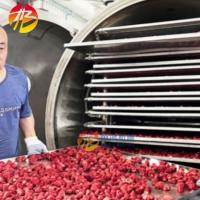 China Instant Coffee Freeze Drying Machine for Freeze Dried Set Machine and Frozen Food for sale