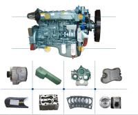 China Shaanxi Shacman Truck Spare Parts Fast Gearbox Transmission Drive Gear 18869 Original Factory for sale