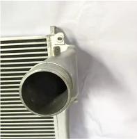 China Shacman Truck Spare Parts Intercooler Assembly DZ9X259531004 for X6000/X3000/F2000/F3000 Heavy Duty Truck for sale