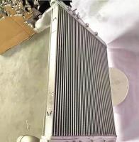 China Shacman Truck Spare Parts Intercooler Assembly DZ9X259531004 for X6000/X3000/F2000/F3000 Heavy Duty Truck for sale