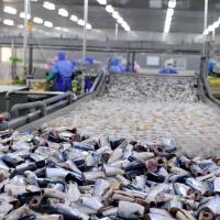 China Canned Fish Production Line Custom Processing Filling Packaging Machines for sale