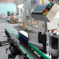 China Liquid Detergent Shampoo Bottle Filling Machine Filler Packaging Line for sale