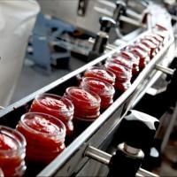China Automatic Hot Sauce Filler Machine Tomato Sauce Bottle Filling Packaging Line for sale