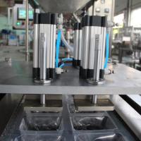 China Auto Thermoforming Vacuum Packing Machine Complete Sachet Packaging Line for sale