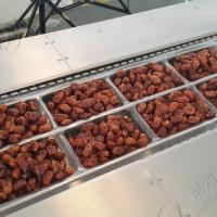 China Auto Thermoforming Vacuum Packing Machine Complete Sachet Packaging Line for sale