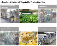 China Leadworld Automatic Pouch Pre-made Bag Packing Machine pellet packing machine vegetable soup packaging machine for sale