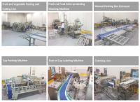 China Leadworld Automatic Pouch Pre-made Bag Packing Machine pellet packing machine vegetable soup packaging machine for sale