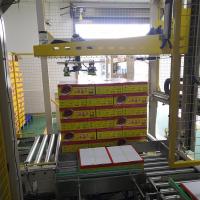 China Automatic Magnetic Can Palletizer for Food Packaging Lines | LWT for sale