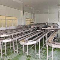 China Automatic Mushroom Sauce Glass Bottle Filling Equipment Filling Capping Labeling Machine for sale