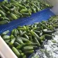 China High Efficiency Canned Vegetable Production Line For Cucumber for sale