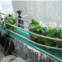 China High Efficiency Canned Vegetable Production Line For Cucumber for sale