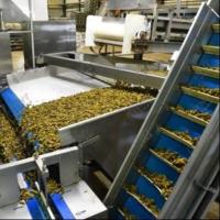 China High Efficiency Canned Vegetable Production Line For Cucumber for sale