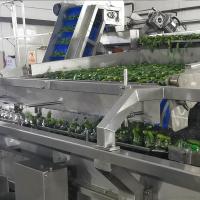 China High Efficiency Canned Vegetable Production Line For Cucumber for sale