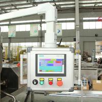 China Automatic Mushroom Sauce Filling Machine Seasoning Sauce Filling Equipment for sale