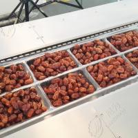 China Automatic Vacuum Packing Line Braised Egg Vacuum Packaging Machine for sale