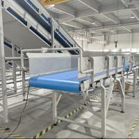 China 2.5T/H Fresh Cut Vegetable Processing Line Vegetable Washing Equipment for sale
