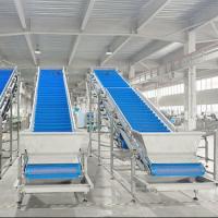 China 2.5T/H Fresh Cut Vegetable Processing Line Vegetable Washing Equipment for sale